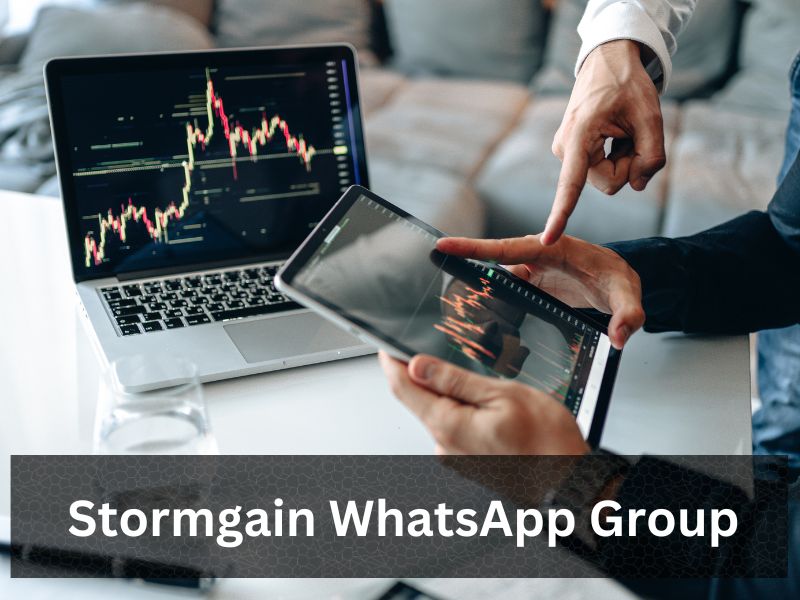 590+ Stormgain WhatsApp Group Links